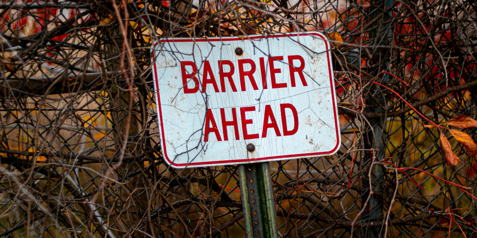 New report highlights VAT as a major barrier to the EU single market ...